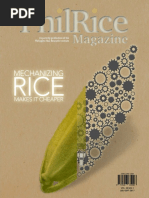 Isolated Rice Breeds 2 | PDF | International Rice Research Institute | Rice