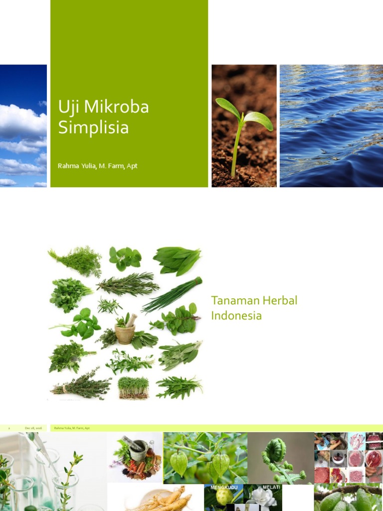 Uji Mikroba Simplisia Ok | PDF | Kesehatan Holistik