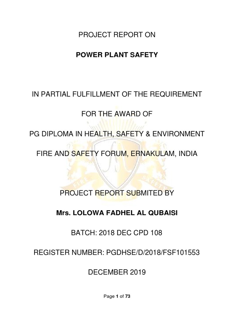 Power Plant Safety | PDF | Occupational Safety And Health | Hazards