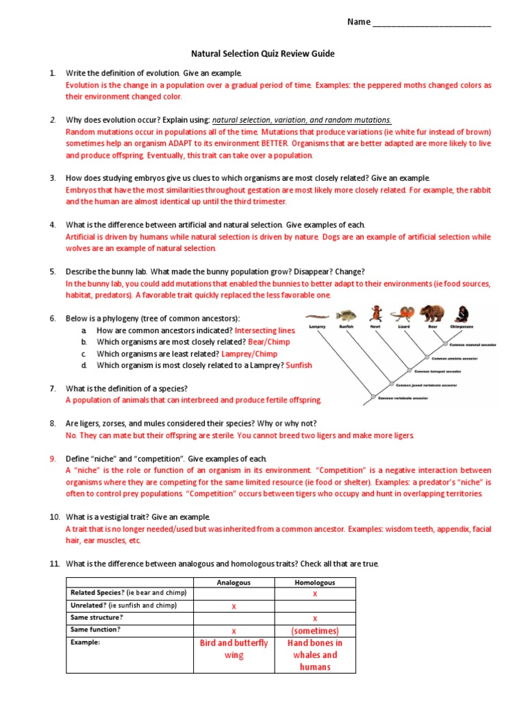 Natural Selection Quiz Review Guide | PDF | Natural Selection ...