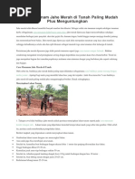 Contoh Teks Laporan Hasil Observasi Tanaman Cabai Rawit | PDF