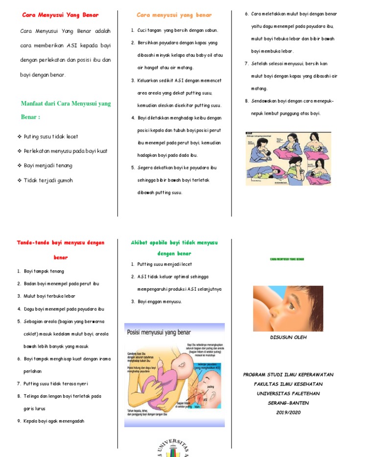 Leaflet Teknik Menyusui Yang Baik Dan Benar | PDF
