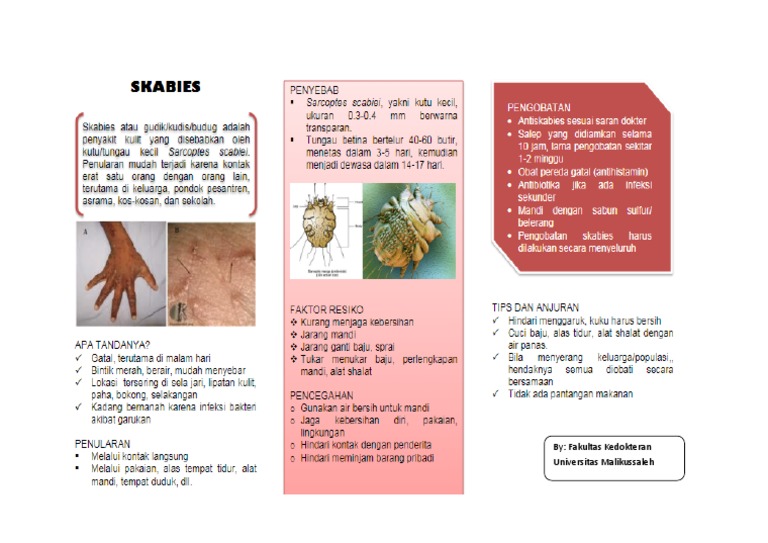 Leaflet Scabies | PDF