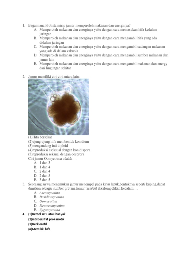 Soal Protista Mirip Jamur | PDF