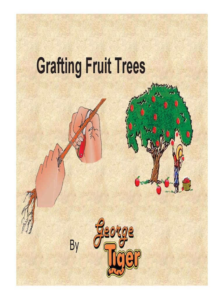 Fruit Tree Grafting Compatibility Guide | PDF | Grafting | Apple