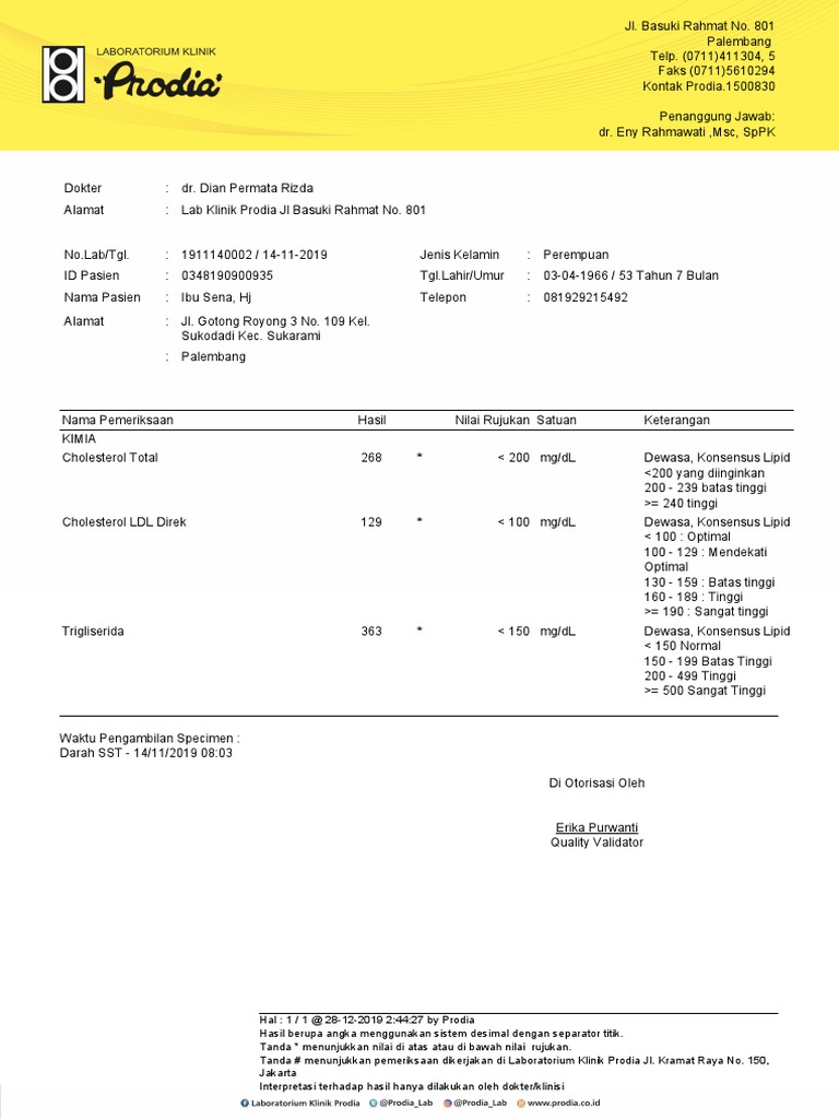 Manage Lab Result-1911140002 | PDF
