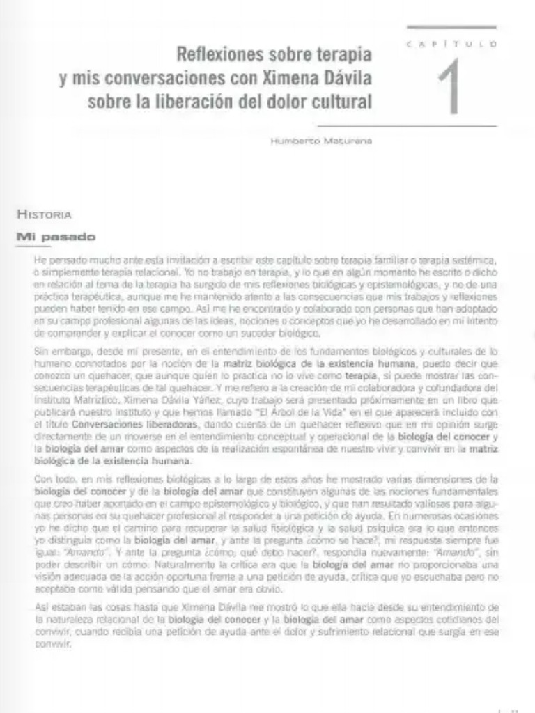 Terapia Familiar y de Pareja | PDF