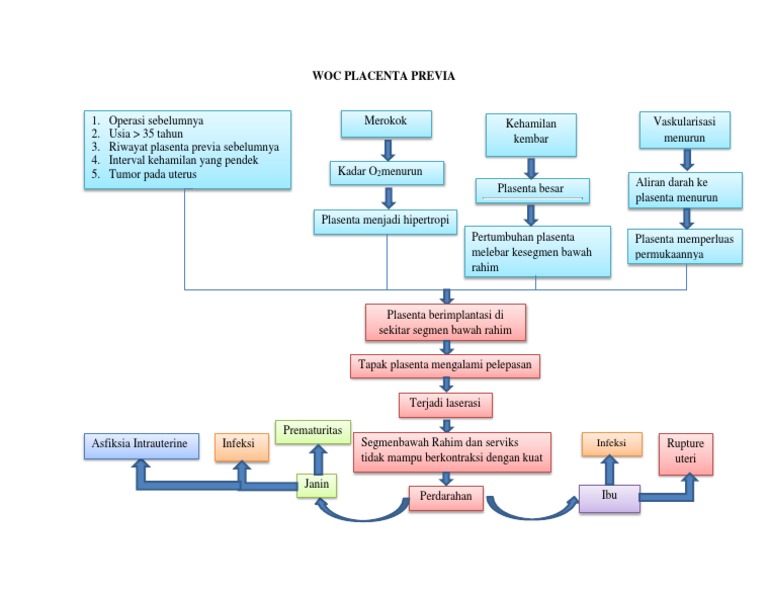 Woc Placenta Previa | PDF