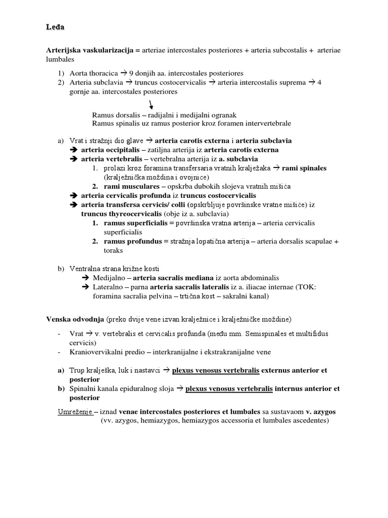 Vaskularizacija I Inervacija Leđa | PDF