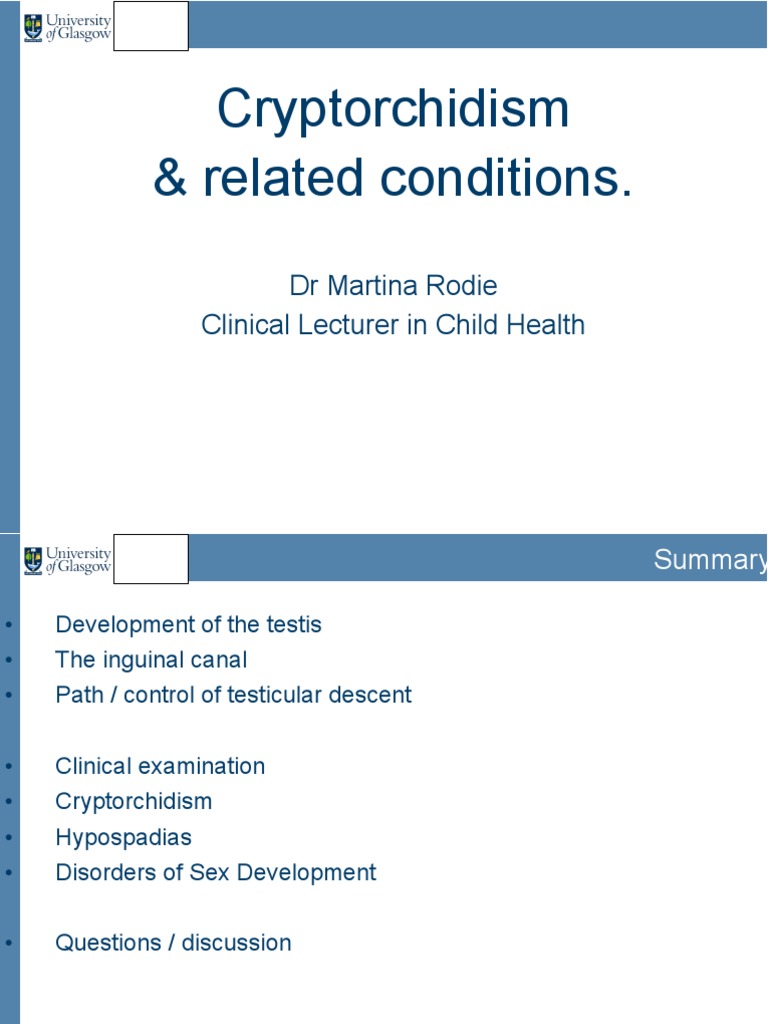 Cryptorchidism Pdf Pdf Testicle Sexual Anatomy