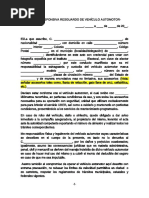 16.0 Formato Resguardo de Vehiculo | PDF