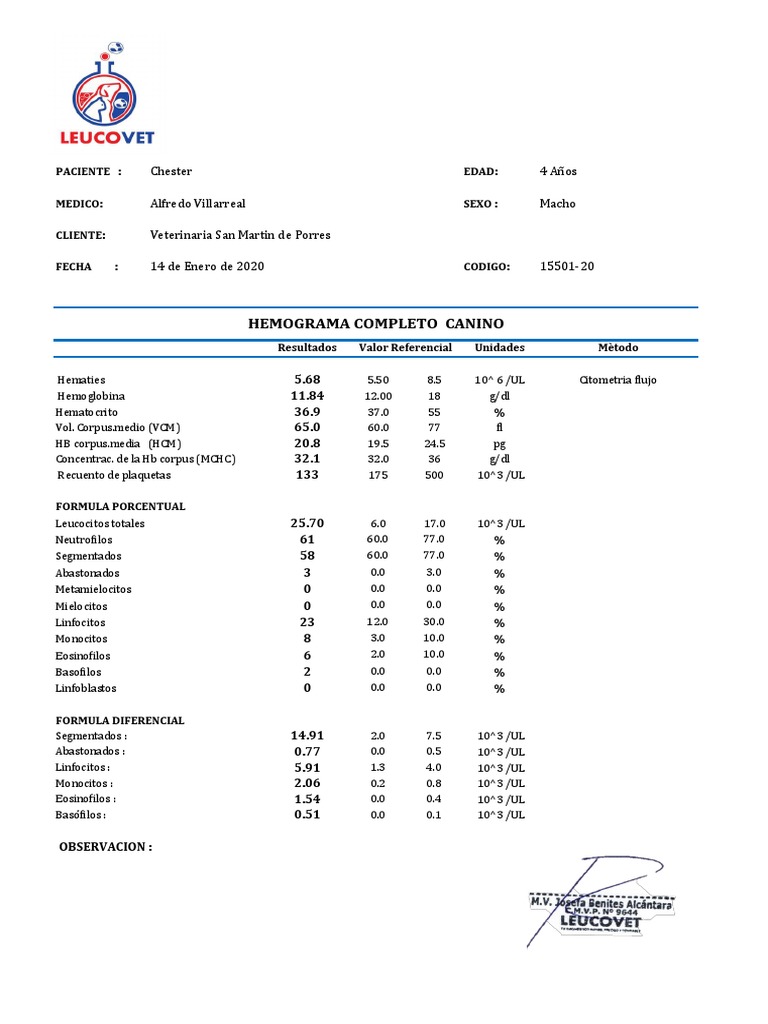 Chester HMG Canino 14.01.20 | PDF | Células | Inmunología