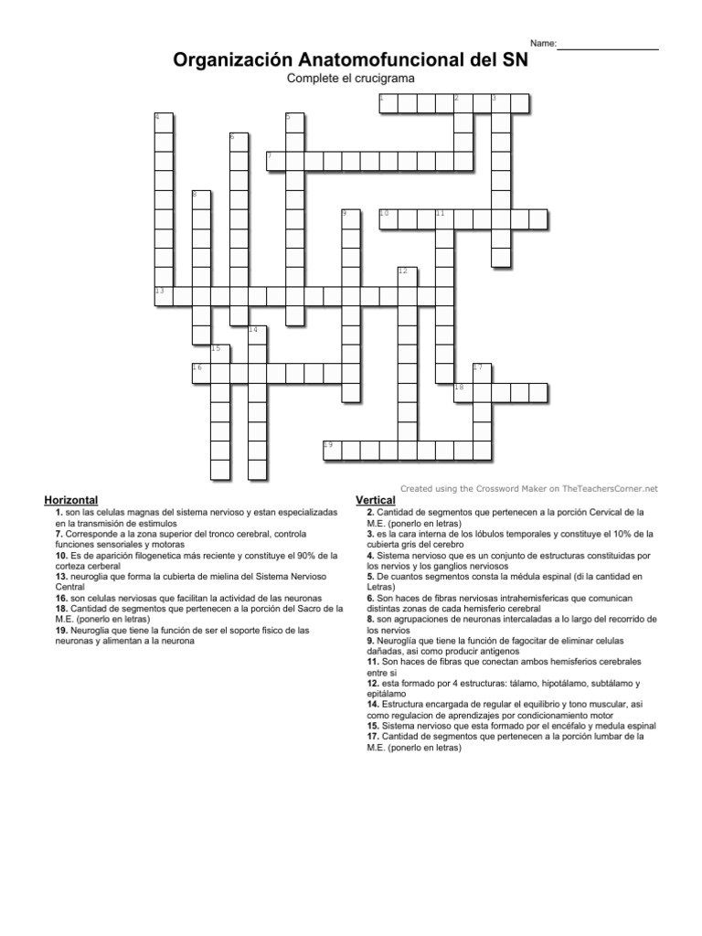 Crucigrama Organización Anatomofuncional Del SN - SIN RESPUESTAS | PDF ...