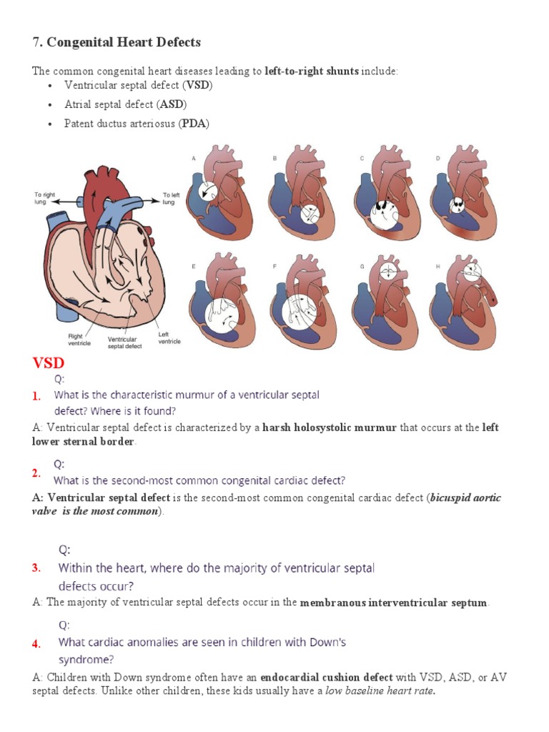 Congenital Heart Defects | PDF | Congenital Heart Defect | Aorta