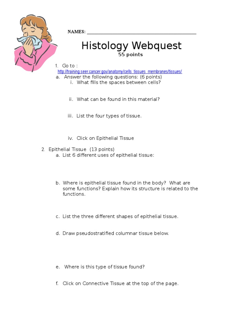 Webquest - Histology | PDF | Tissue (Biology) | Epithelium
