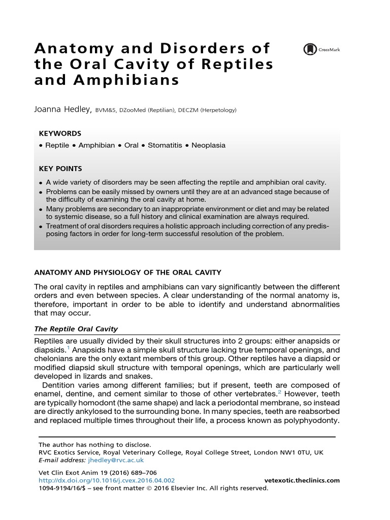 Oral Cavity Anatomy in Reptiles & Amphibians | PDF | Mouth | Tooth