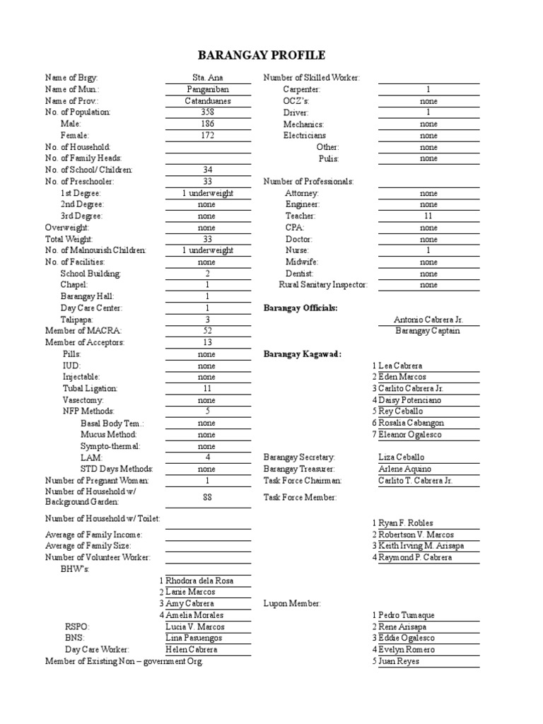 BARANGAY PROFILE 1.xlsx1 | PDF | Birth Control | Family Planning
