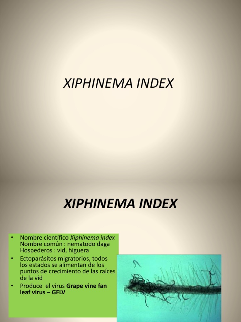 Xiphinema Index | PDF | Virus | Organismos