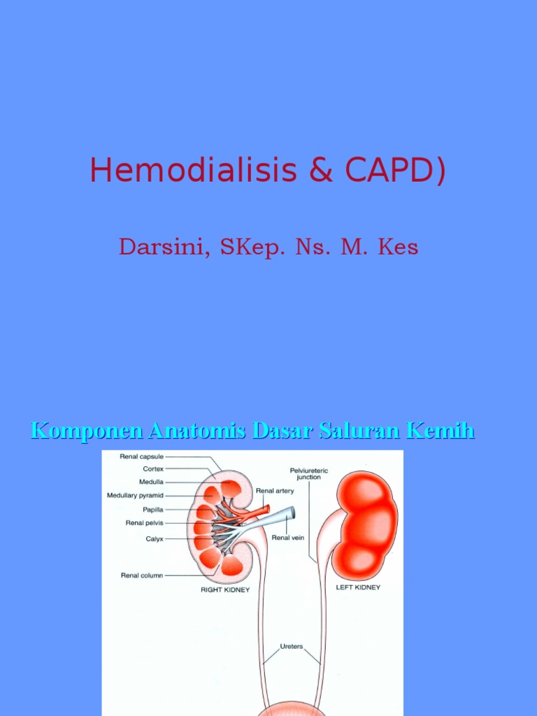 Prinsip Dialisis (hemodialisis&CAPD) | PDF