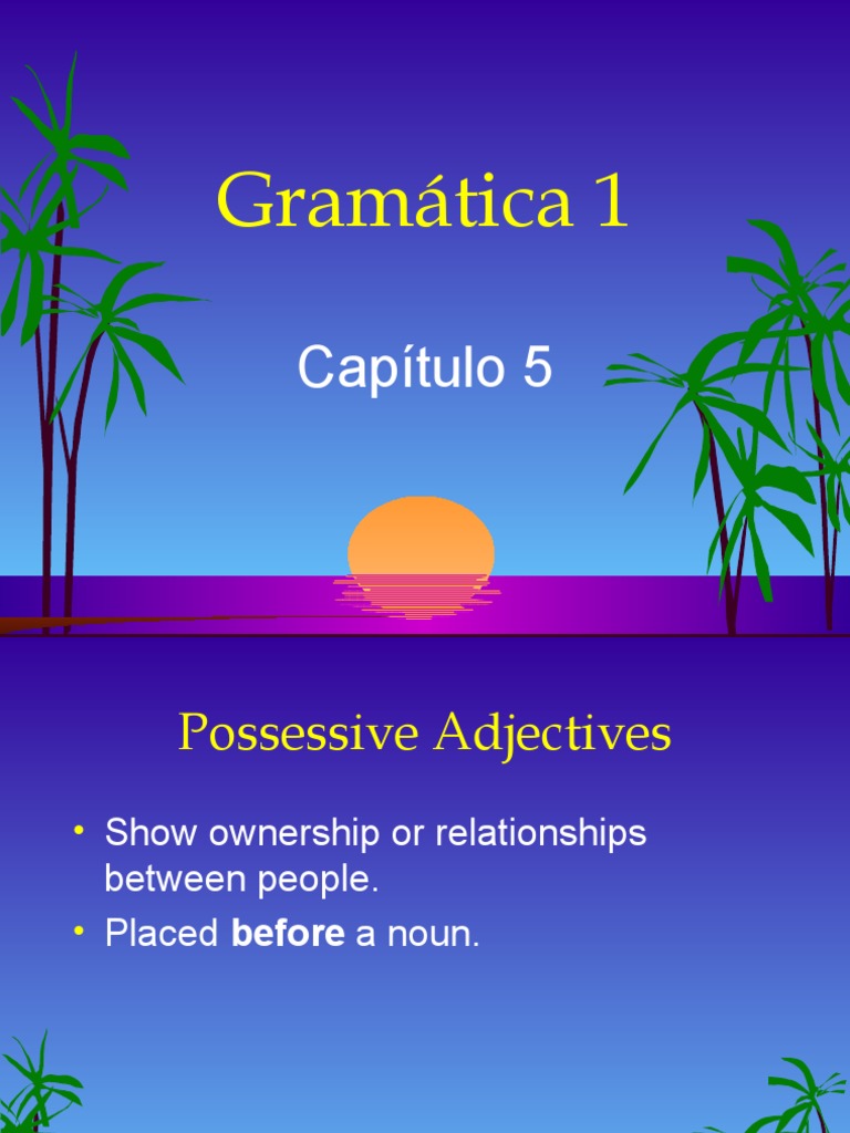 Possessive Adjectives, Stem Changers | PDF | Adjective | Syntax