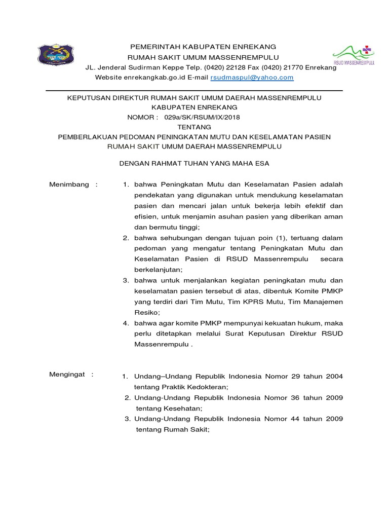 SK Pemberlakuan Pedoman Peningkatan Mutu Rsum PDF | PDF