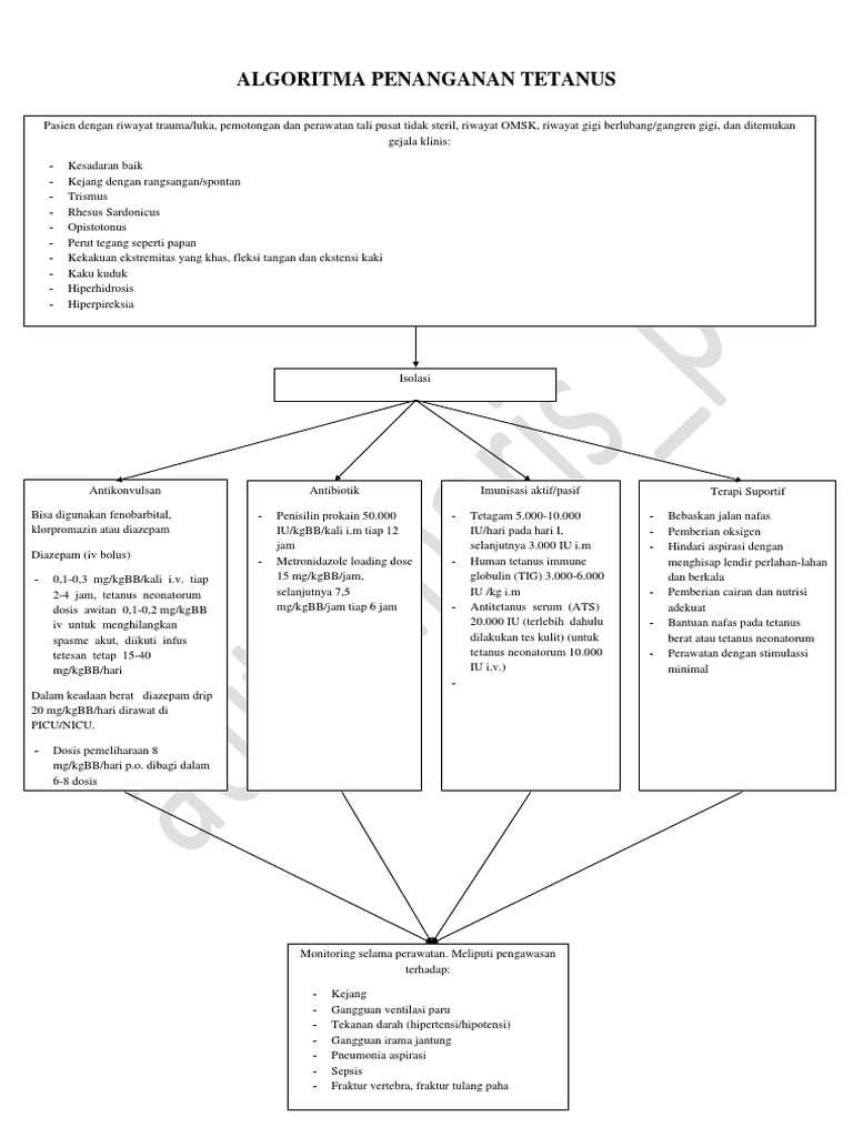 Algoritma Penanganan Tetanus | PDF