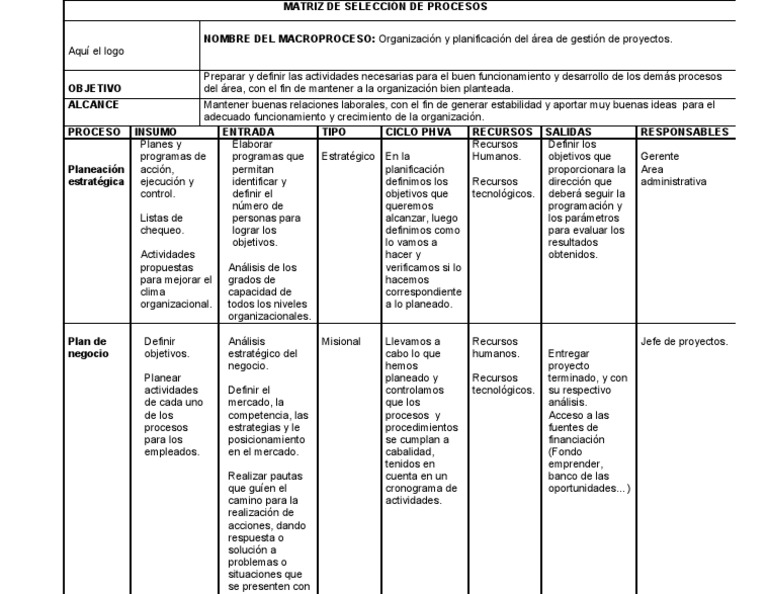 MACROPROCESOS | PDF | Planificación | Business
