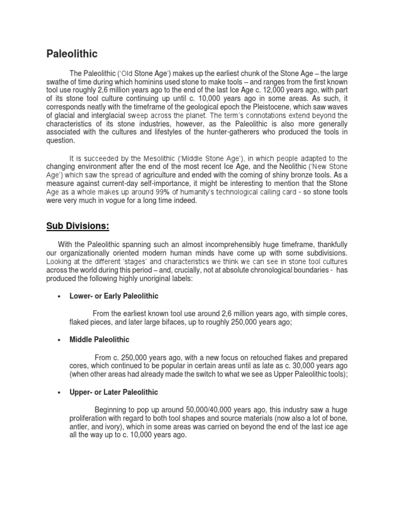 Pre Hisrory Assingment | PDF | Stone Age | Paleolithic