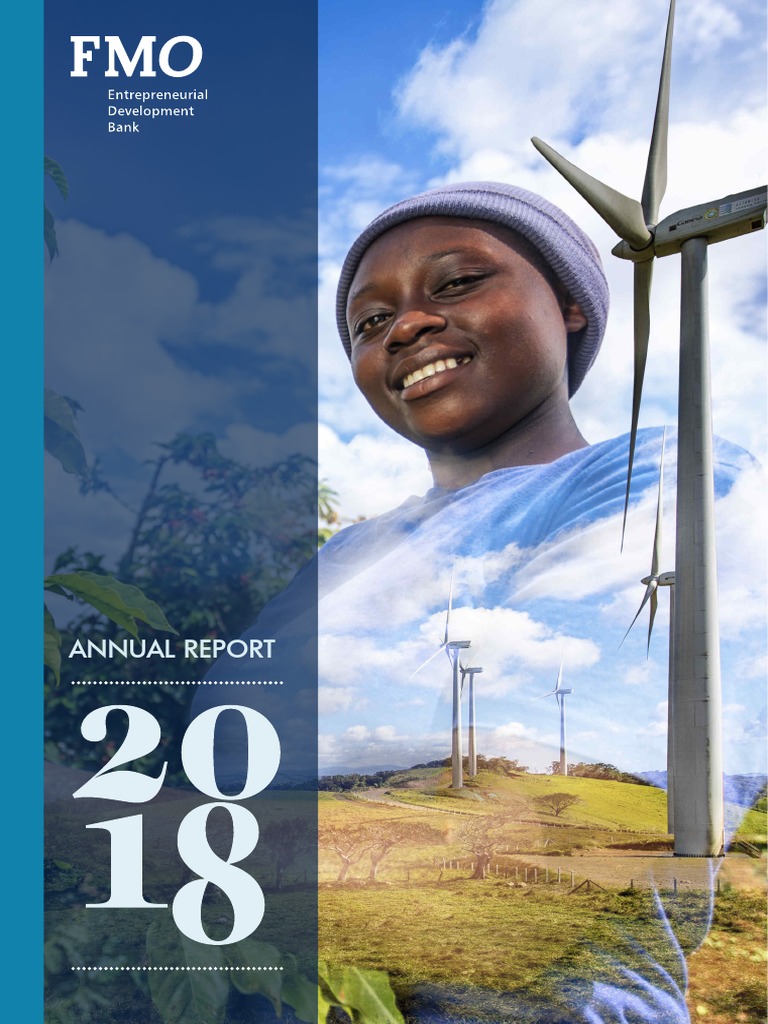 2018 FMO Annual Report PDF | PDF | Risk Management | Sustainability