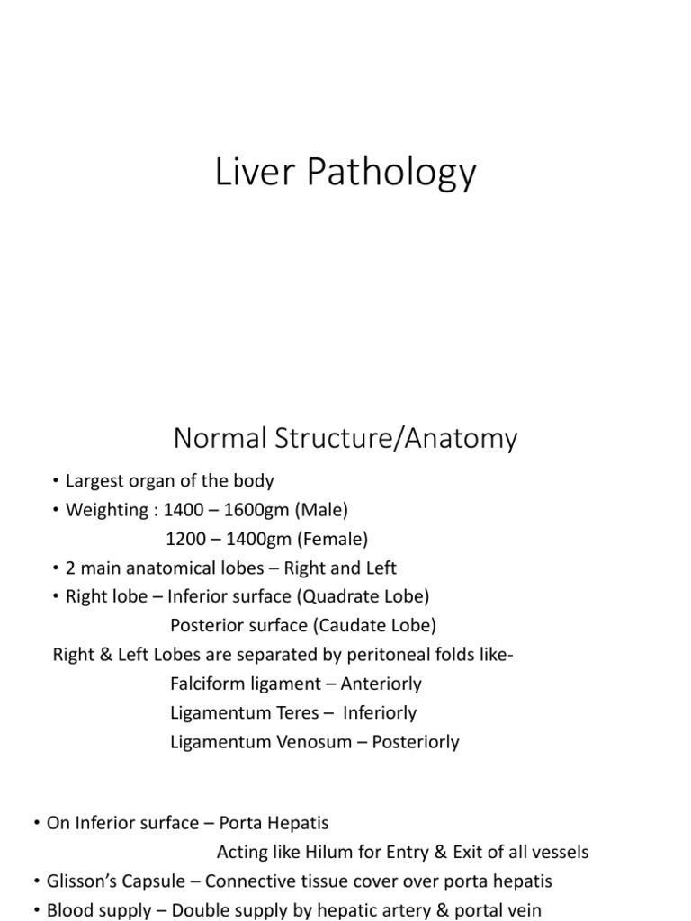 Liver Pathology | PDF | Liver | Animal Anatomy