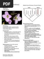 Brassicaceae Family Overview and Diagram | PDF | Plants | Plant Morphology