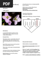 Brassicaceae Family Overview and Diagram | PDF | Plants | Plant Morphology