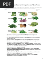 Brassicaceae Family Overview and Diagram | PDF | Plants | Plant Morphology