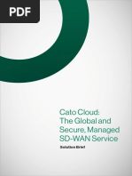 Cato Client Linux User Guide | PDF | License | Computing