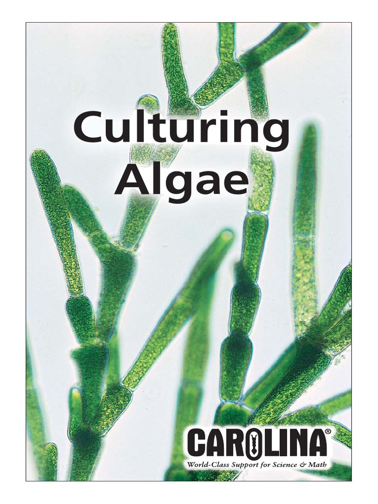 Culturing-Algae-Carolina Biological Supply Company - Atomization Method ...