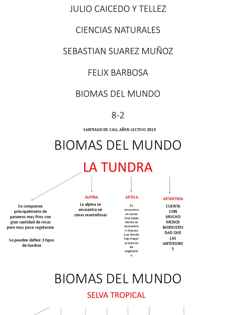 Biomas Del Mundo 1 | PDF | Desierto | Clima