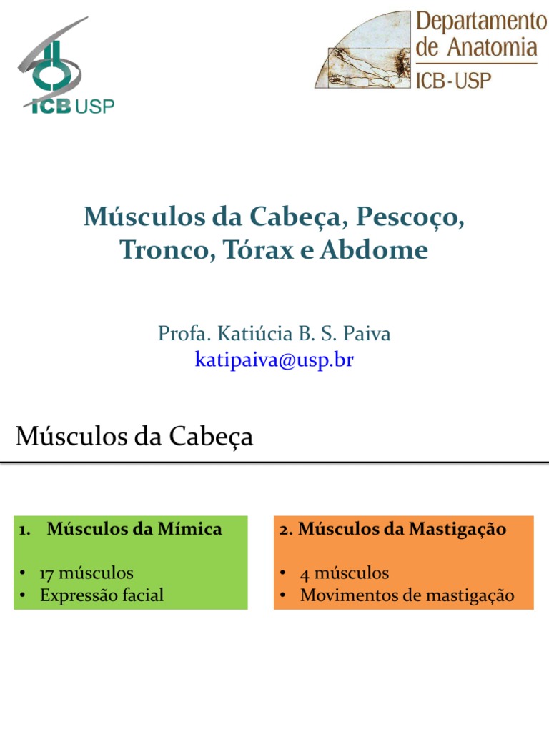 Músculos da Cabeça e Pescoço: Anatomia | PDF | Coluna vertebral | Pélvis