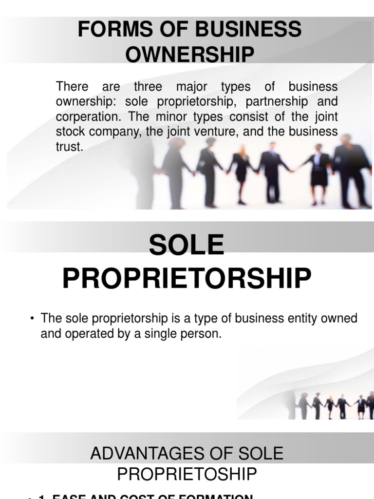 Types of Business Ownership Explained | PDF | Partnership | Sole ...