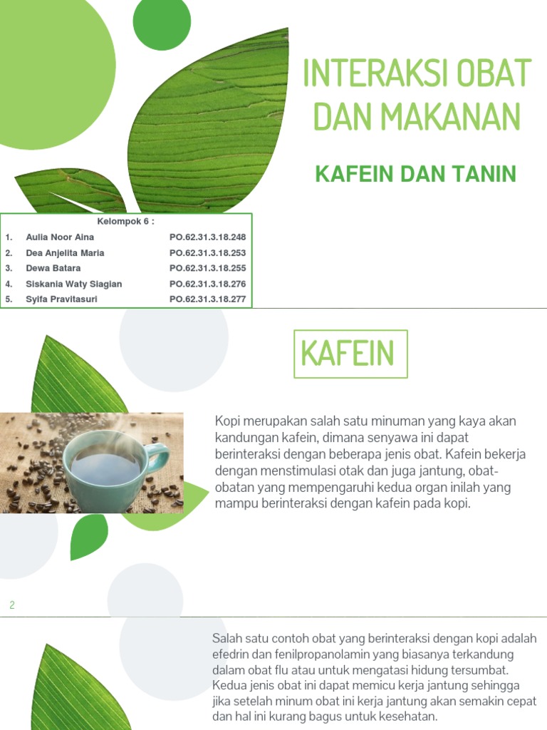 Interaksi Obat Dan Makanan - Kafein Dan Tanin | PDF