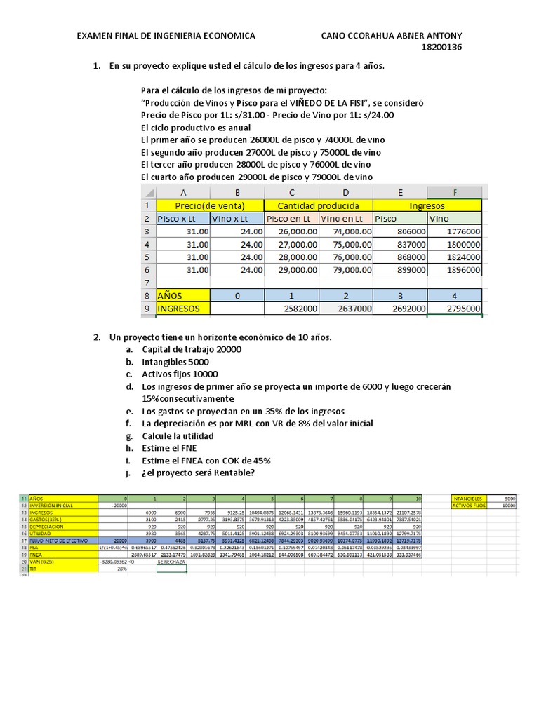 Examen Final Ingeco Word | PDF