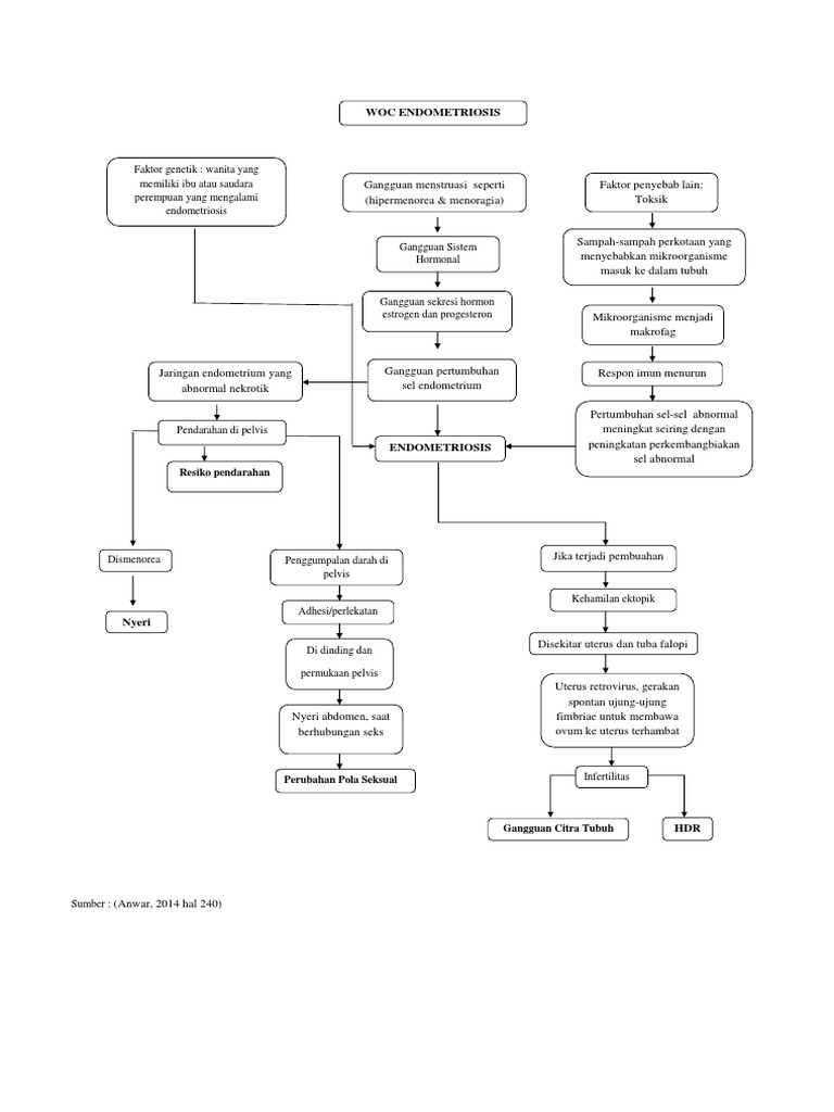 WOC Endometriosisssssssssss | PDF