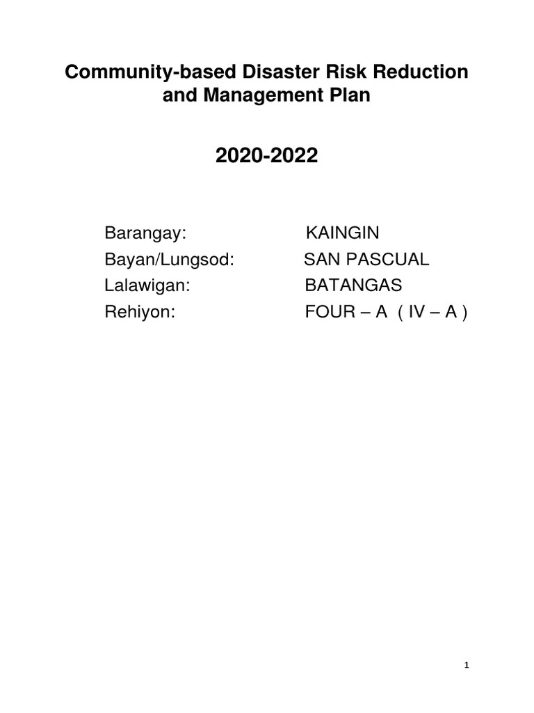 BDRRM Plan Template Monaliza | PDF
