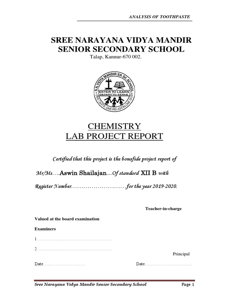 Chemistry Project Report PDF | PDF | Chemical Substances | Atoms