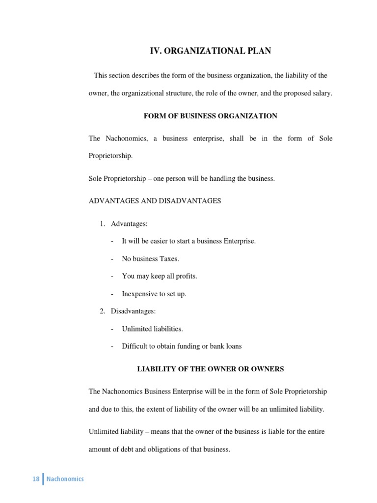 Organizational Plan Draft 2 | PDF | Sole Proprietorship | Business