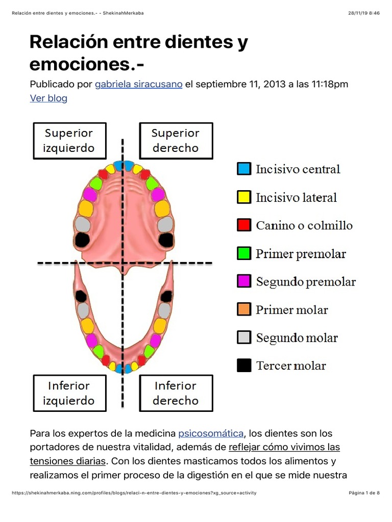 Relación Entre Dientes y Emociones. - ShekinahMerkaba | PDF | Diente ...