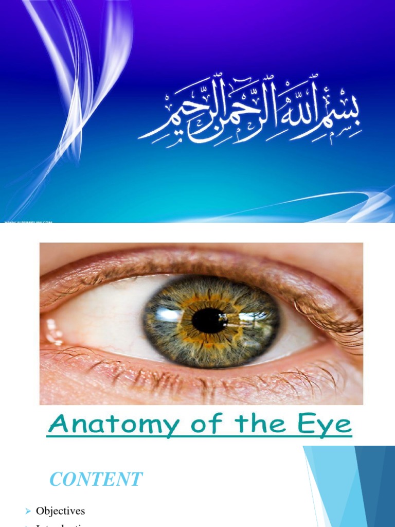 Anatomy of Eye | Download Free PDF | Eye | Cornea