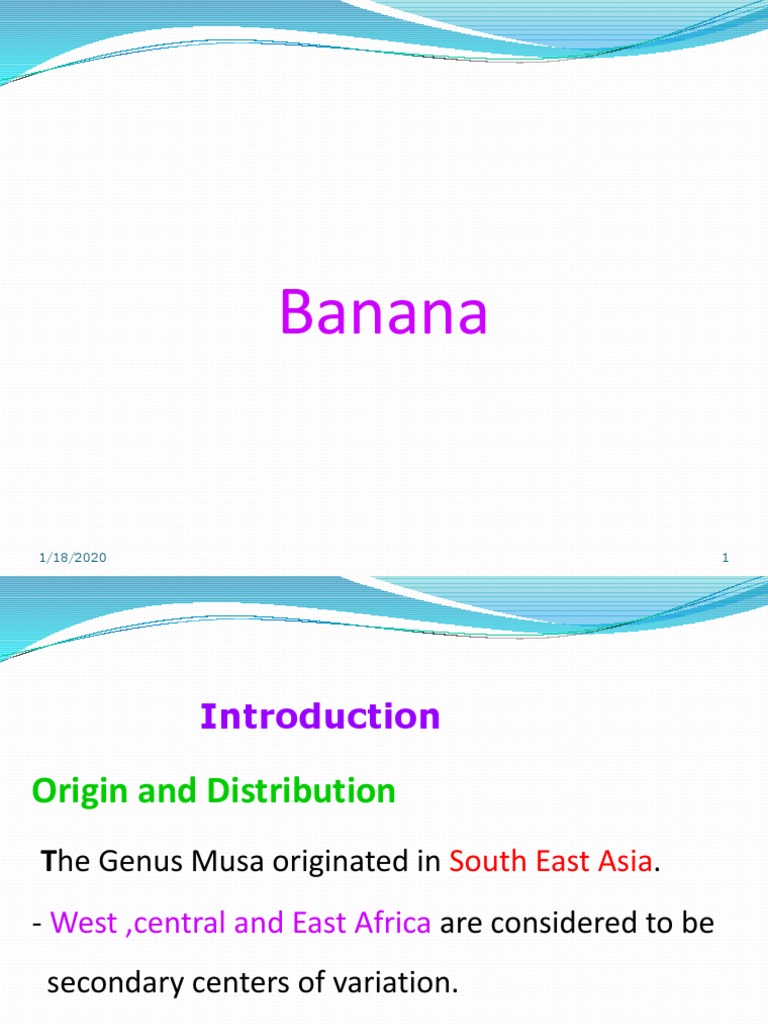 Banana Training | Download Free PDF | Banana | Mulch