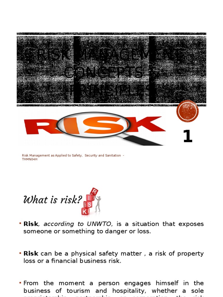 Risk Management Concepts & Principles | PDF | Risk Management | Risk ...