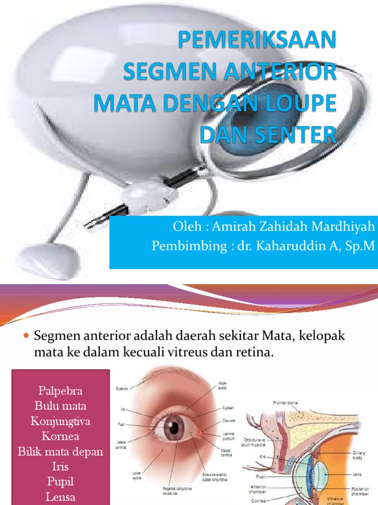 Pemeriksaan Segmen Anterior Mata Dengan Loupe Dan Senter | PDF ...