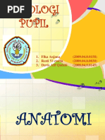 Pupil Isokor dan Anisokor: Penjelasan | PDF